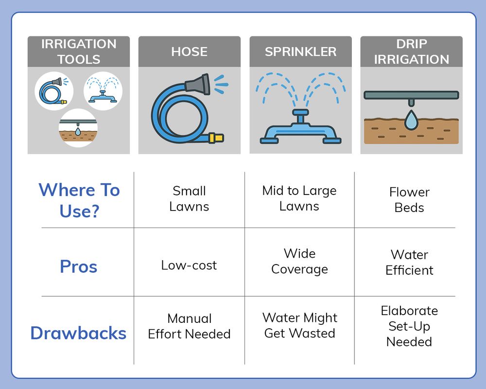 Lawn Watering Guide: Best Time and Schedule for Healthy Grass | DK Hardware